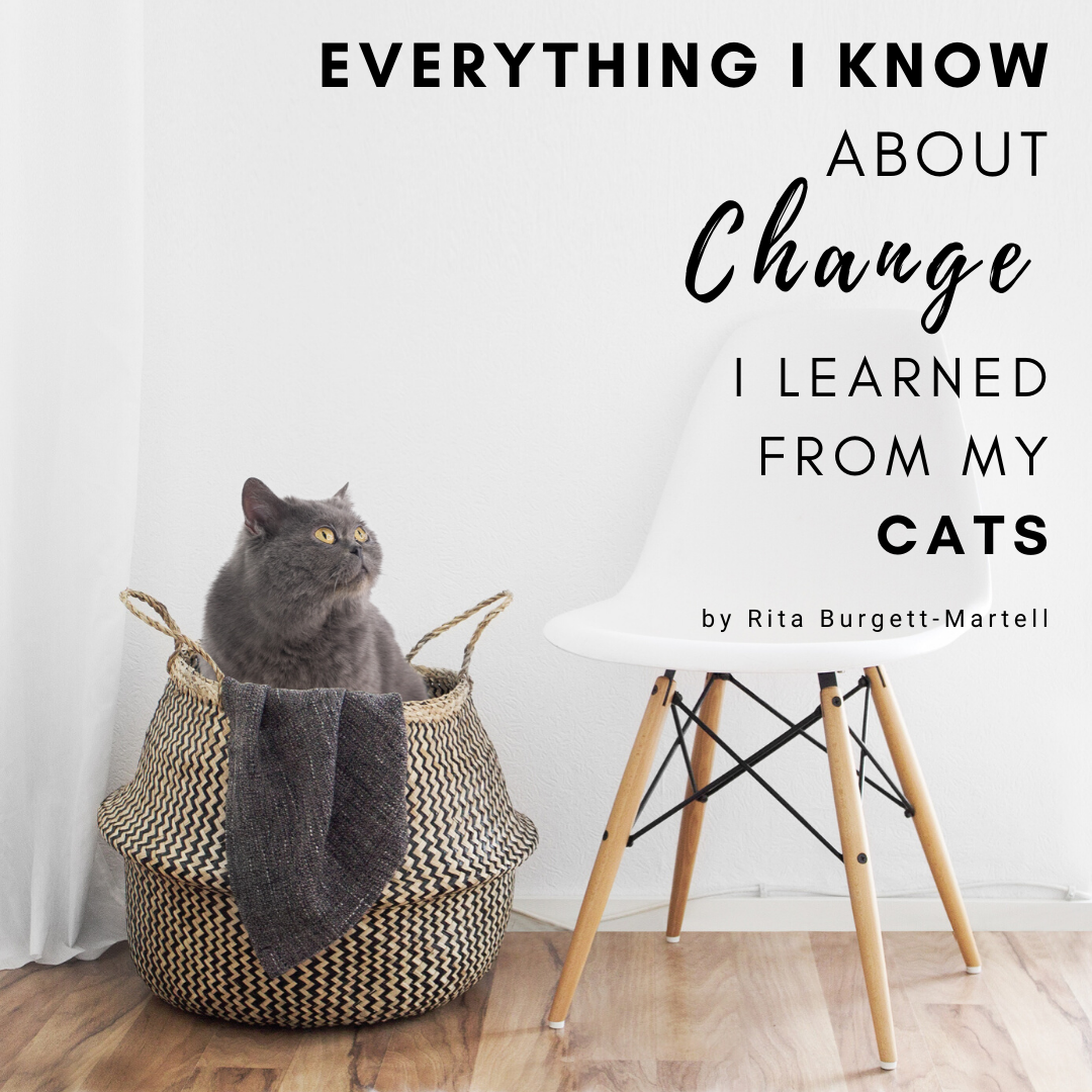 Everything I Know About Change I Learned From My Cats